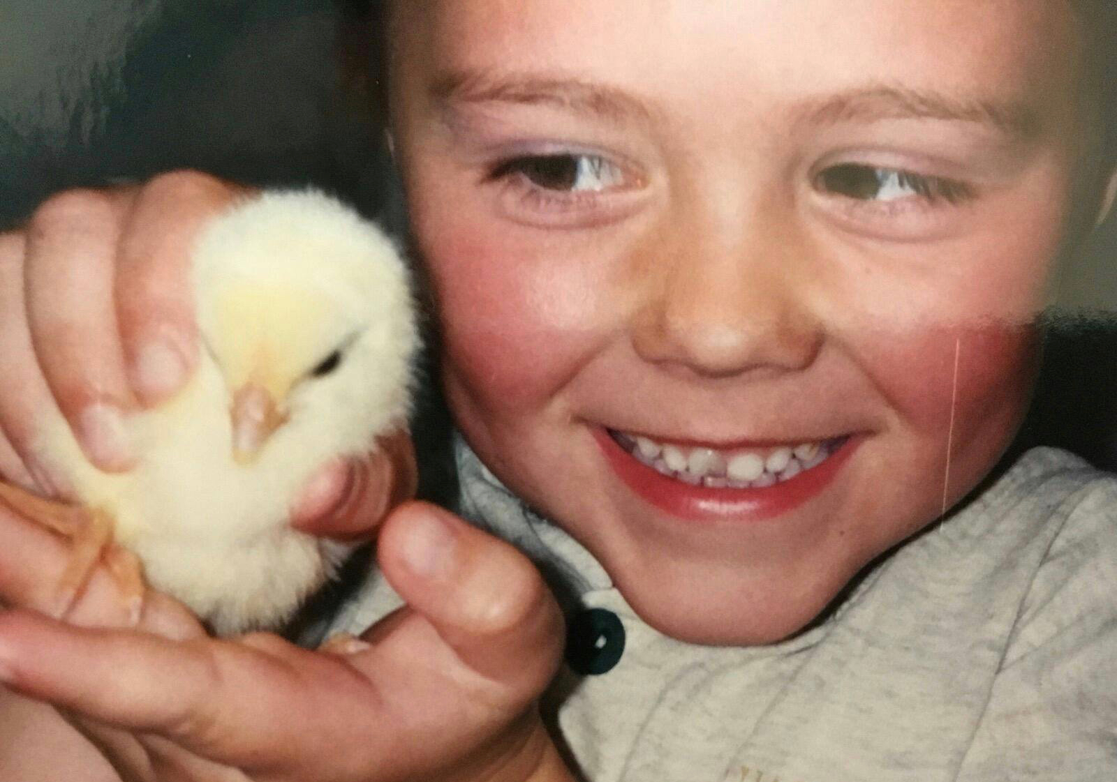 Opinion: Finding Love by Raising Chickens – The Albion College Pleiad ...